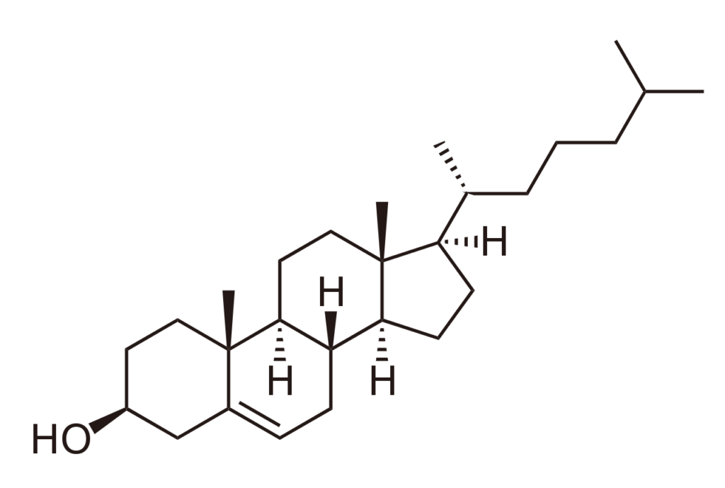Cholesterol structure and synthesis - Microbe Notes