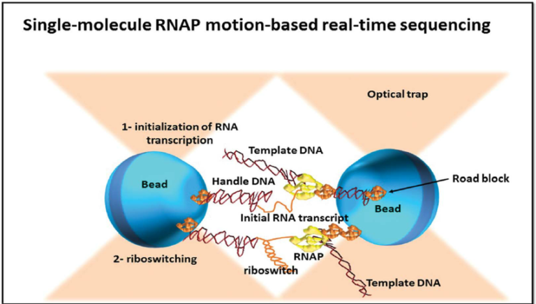 Next-Generation Sequencing (NGS)- Definition, Types