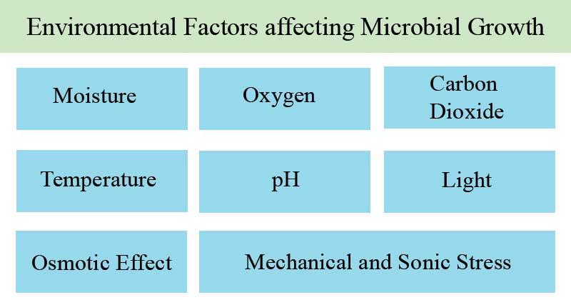 Environmental Factors Affecting Microbial Growth