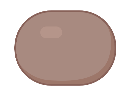 Morphology of Bacteria- Sizes, Shapes, Arrangements, Examples