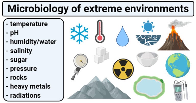 Microbiology of Extreme Environments (Types and Examples) Microbiology of Extreme Environments (Types and Examples)