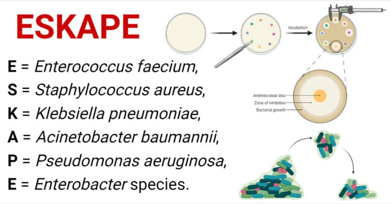 ESKAPE Pathogens and Antimicrobial Resistance