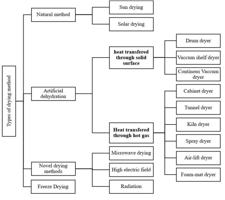 Drying Method Of Food Preservation With Types Examples