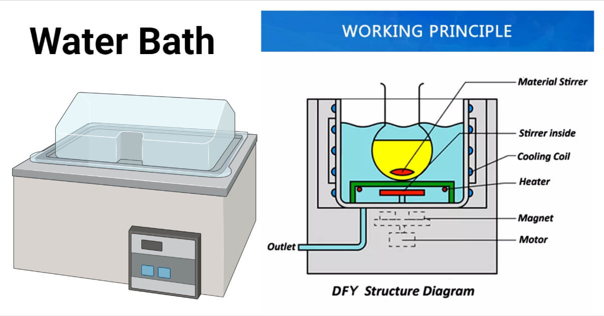 Water Bath Definition Principle Parts Types Procedure Uses Water Bath Definition Principle Parts Types Procedure Uses
