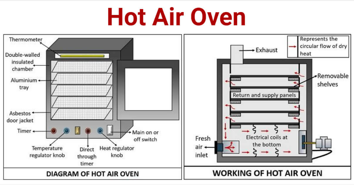 Hot Air Oven Principle Parts Types Uses Examples 40 OFF Hot Air Oven Principle Parts Types Uses Examples 40 OFF