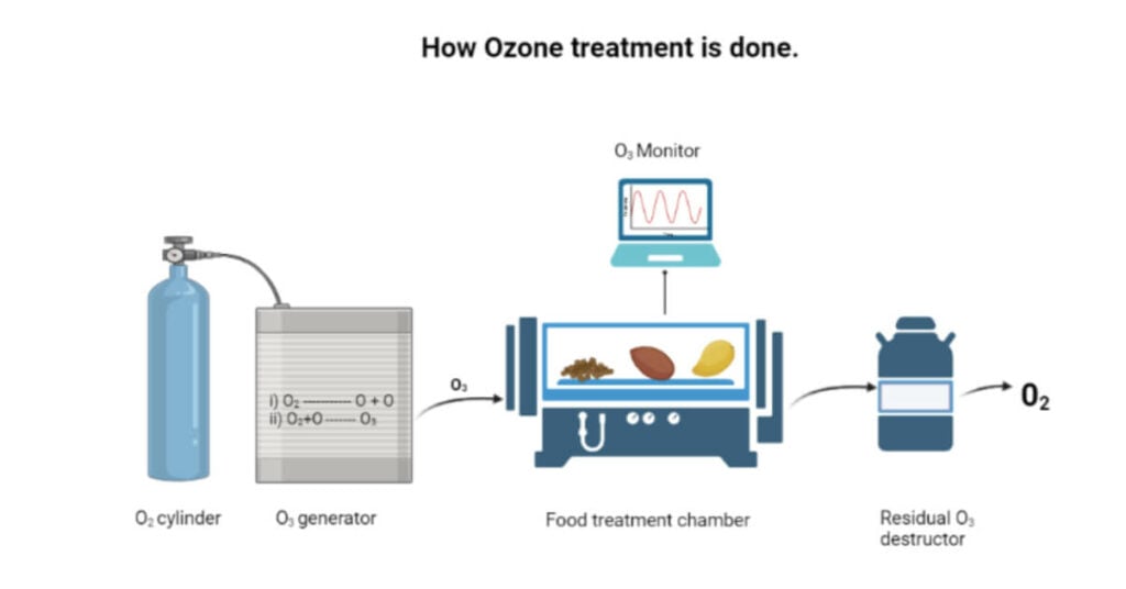 Ozone Treatment as a Food Preservation Technique