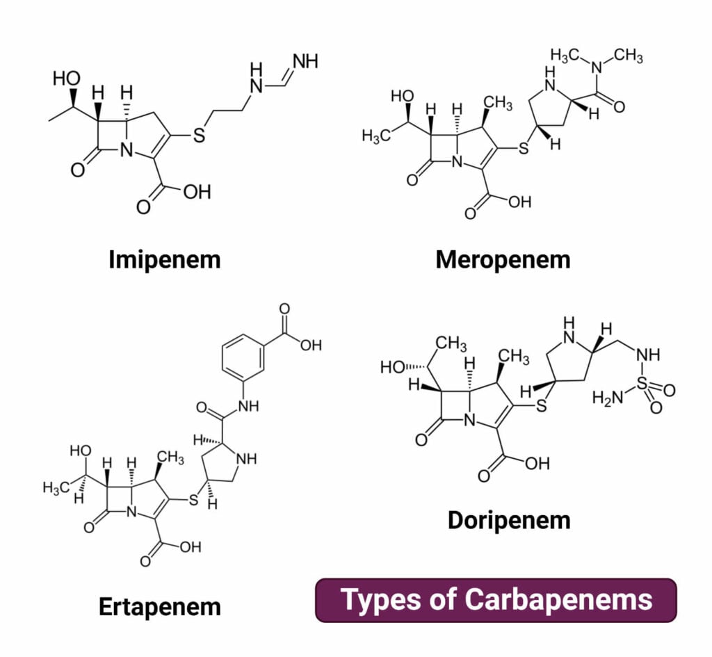 Carbapenems- Definition, Mechanism, Types, Uses