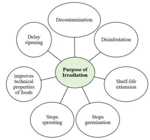 Food Irradiation: Principle of Food Preservation Technique