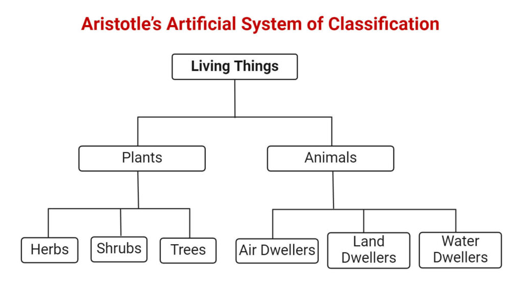 Artificial System Of Classification In Taxonomy At Stephen Mcclain Blog