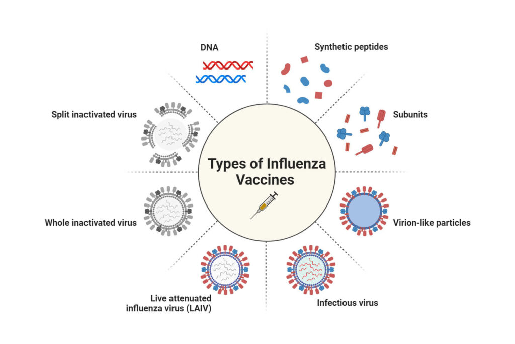 Infectious Diseases: A-Level Biology Revision Notes