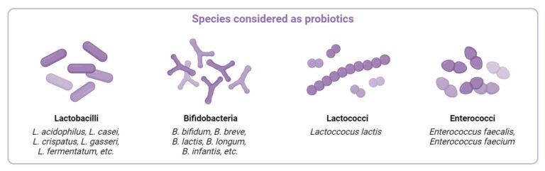 Probiotics: Properties, Sources, Mechanisms, Types, Uses