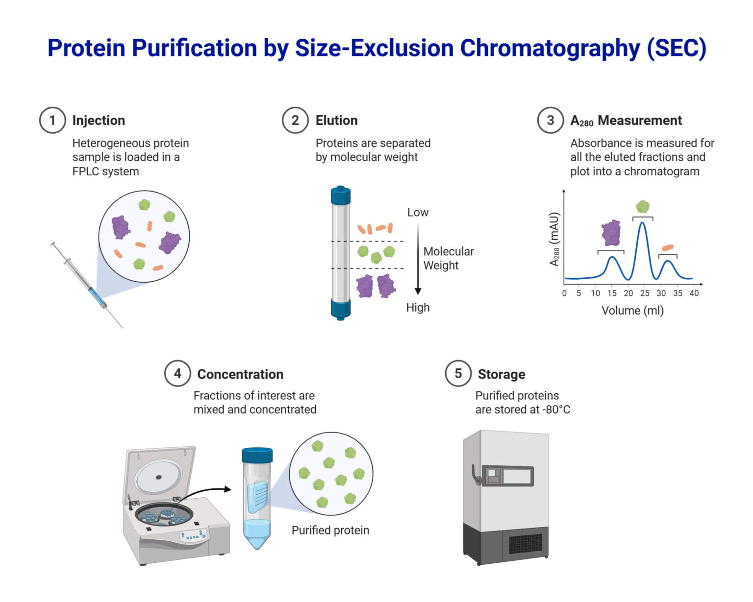 Chromatography: Principle, Types, Steps, Uses, Diagram
