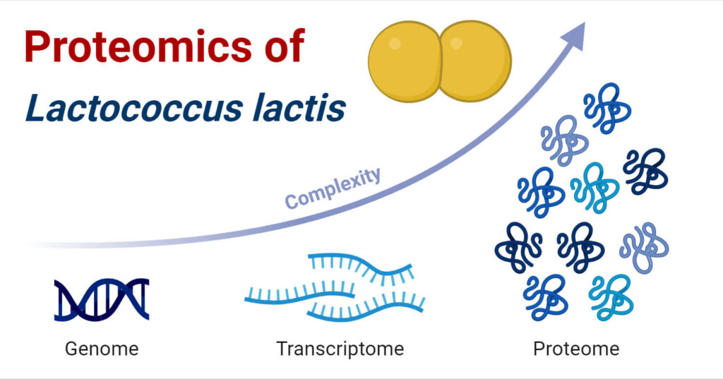 Proteomics of Lactococcus lactis: An Overview