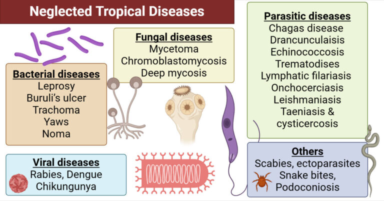 Neglected Tropical Diseases: An Overview with Examples