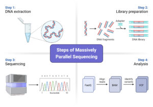 Massively Parallel Sequencing (MPS): Principle, Steps, Uses