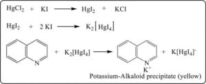 Phytochemical Screening: Types, Principle, Results, Examples
