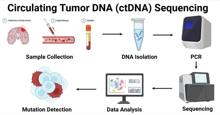 Circulating Tumor DNA (ctDNA) Sequencing: Principle, Steps, Uses