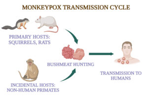 Zoonotic Diseases: Classification, Causes, Prevention, Control