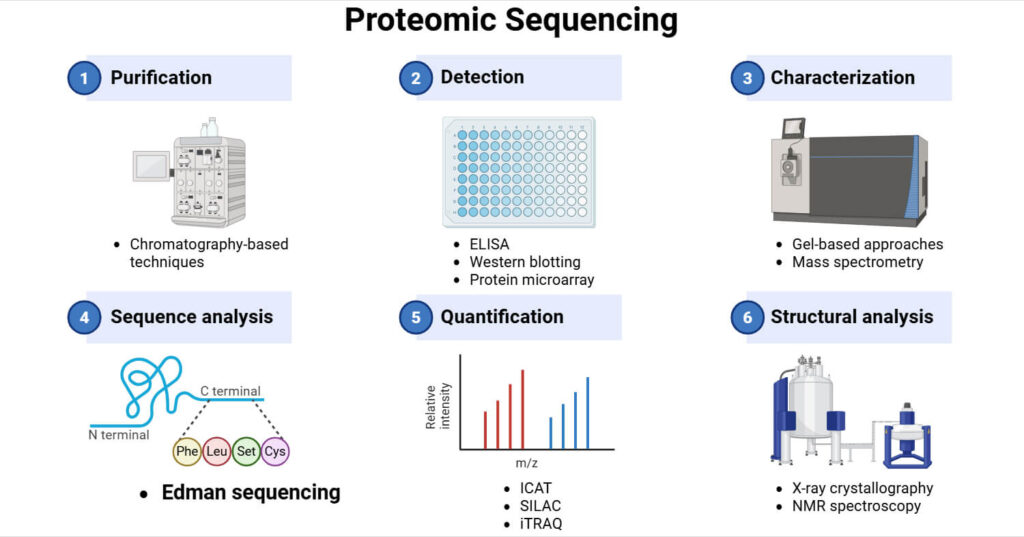 Proteomic Sequencing: Principle, Steps, Methods, Uses