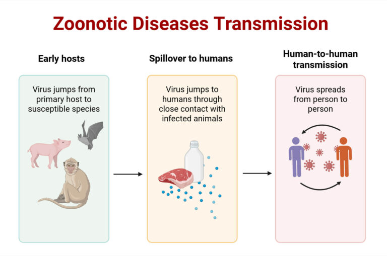 Zoonotic Diseases: Classification, Causes, Prevention, Control