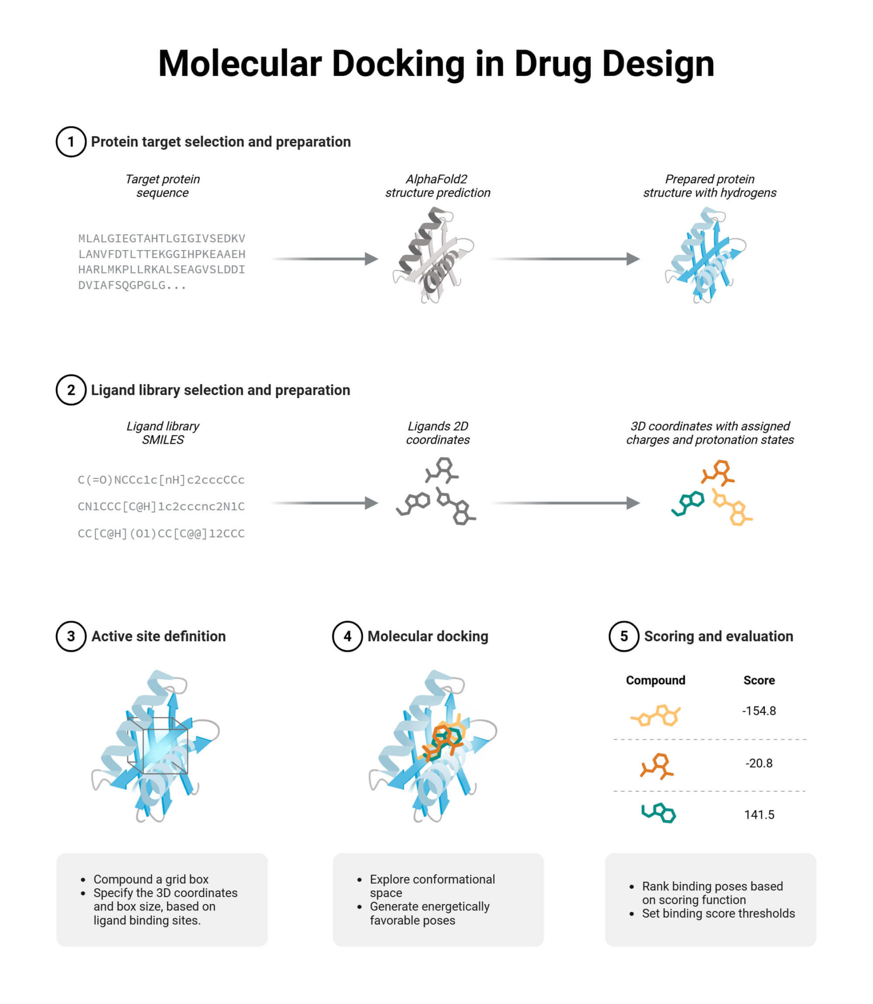 Molecular Docking: Principle, Steps, Types, Tools, Models, Uses