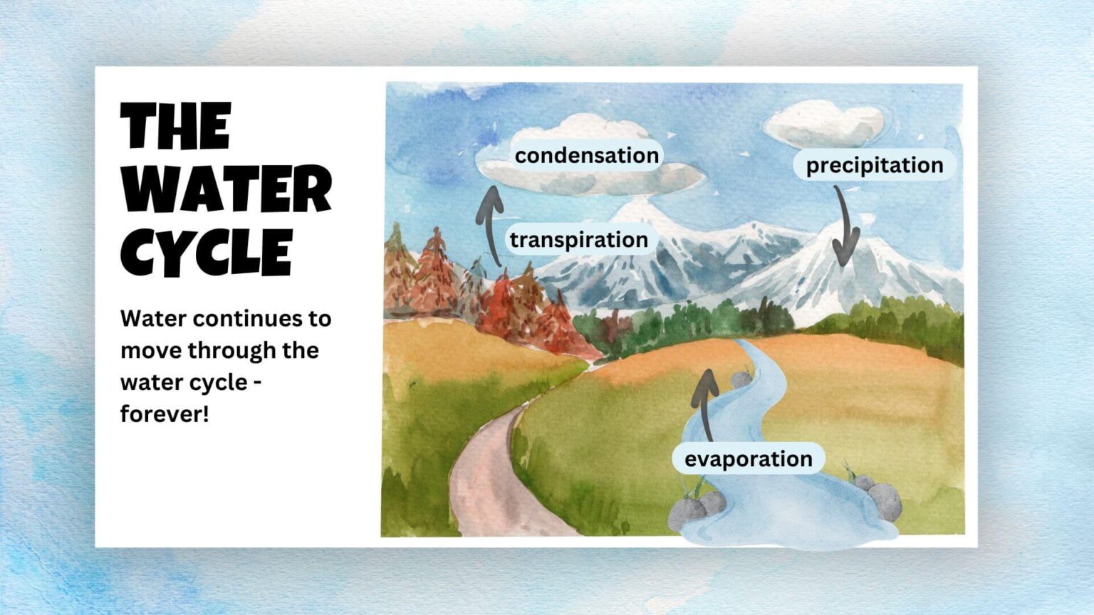 Water Cycle: Steps, Significances, Human Influence