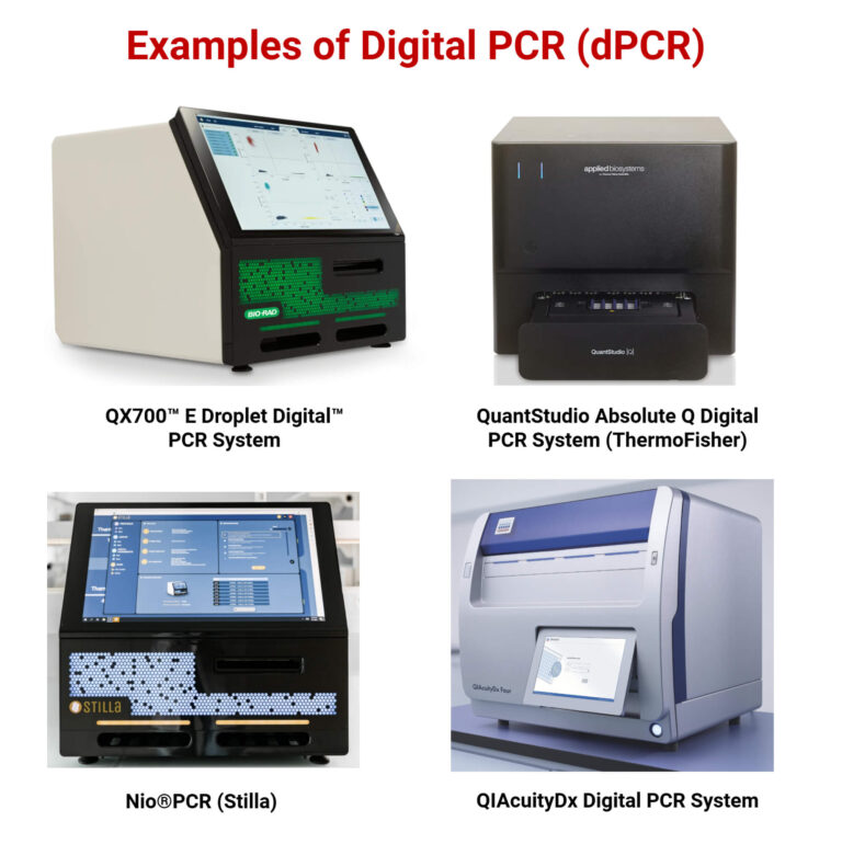 Digital PCR (dPCR): Principle, Steps, Types, Examples, Uses