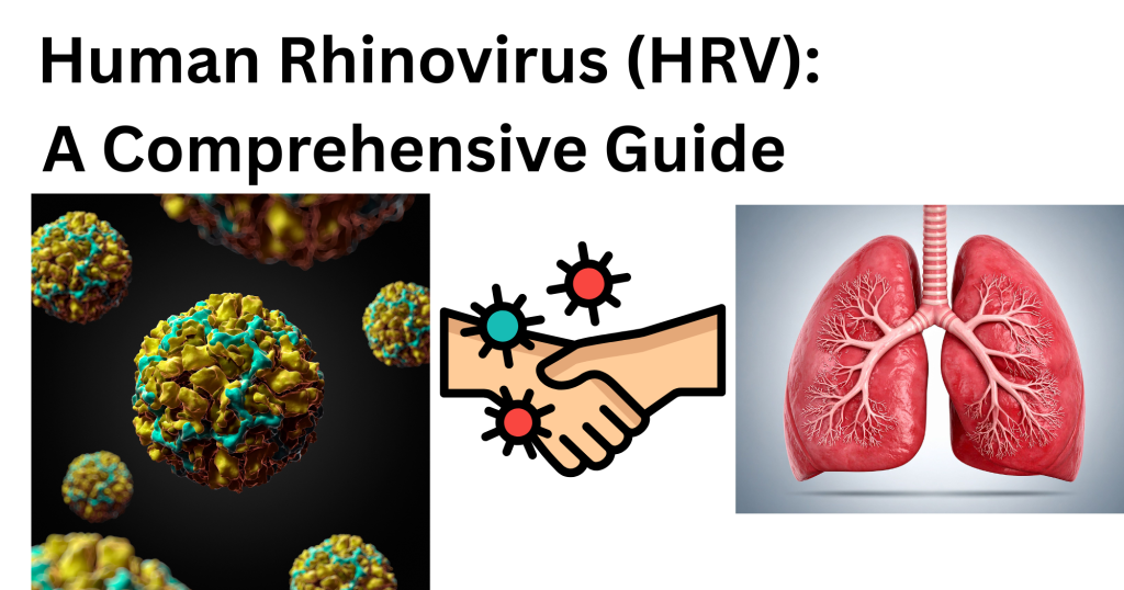Human Rhinovirus (HRV): A Comprehensive Guide