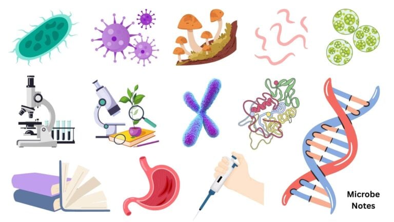 Microbe Notes - Online Microbiology and Biology Study Notes