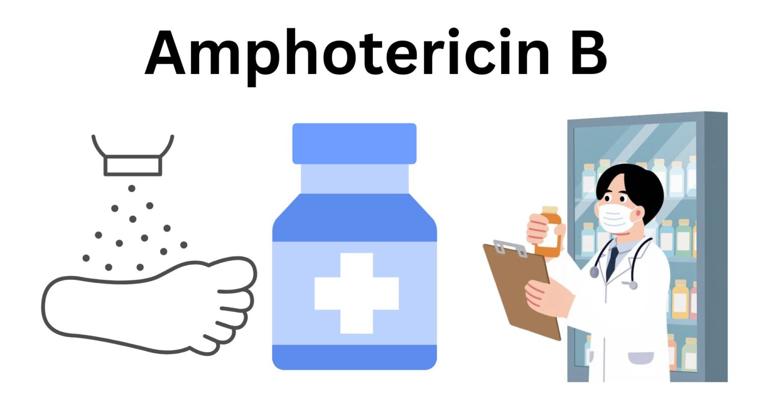 Amphotericin B: Structure, Mechanism, Resistance