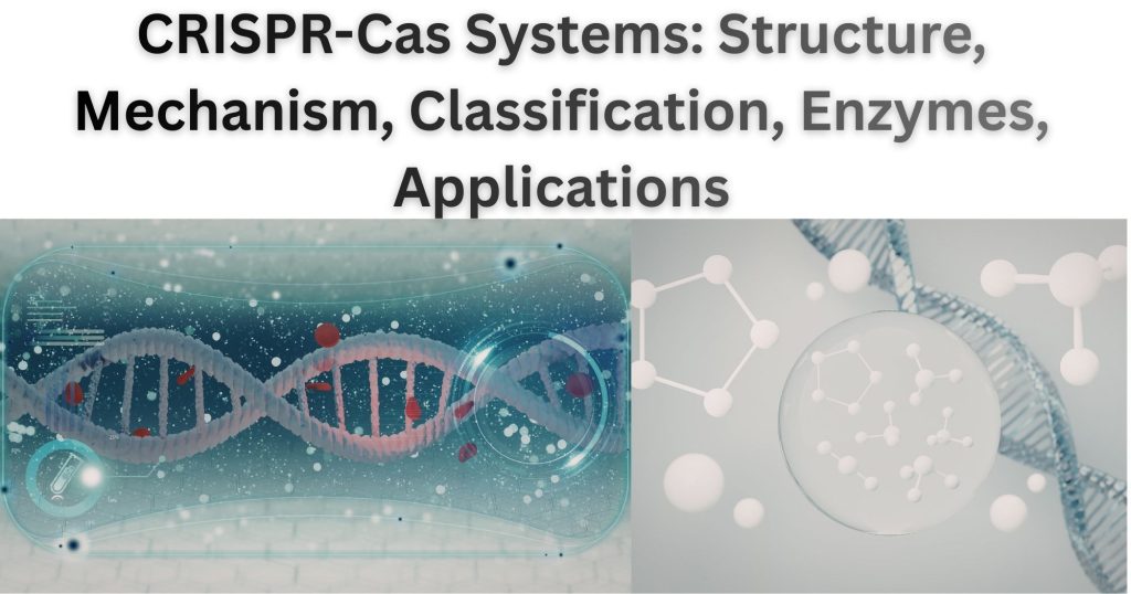 CRISPR-Cas Systems: Structure, Mechanism, Classification, Enzymes ...
