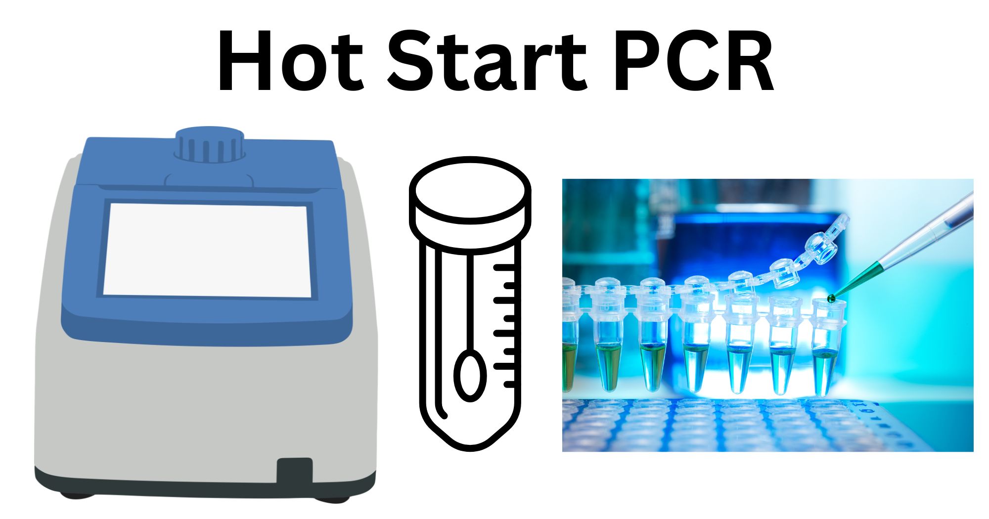 Hot-Start PCR: Principle, Steps, Types, Examples, Applications