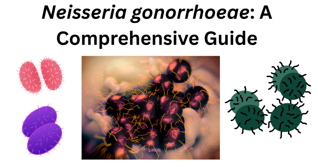 Neisseria gonorrhoeae: A Comprehensive Guide