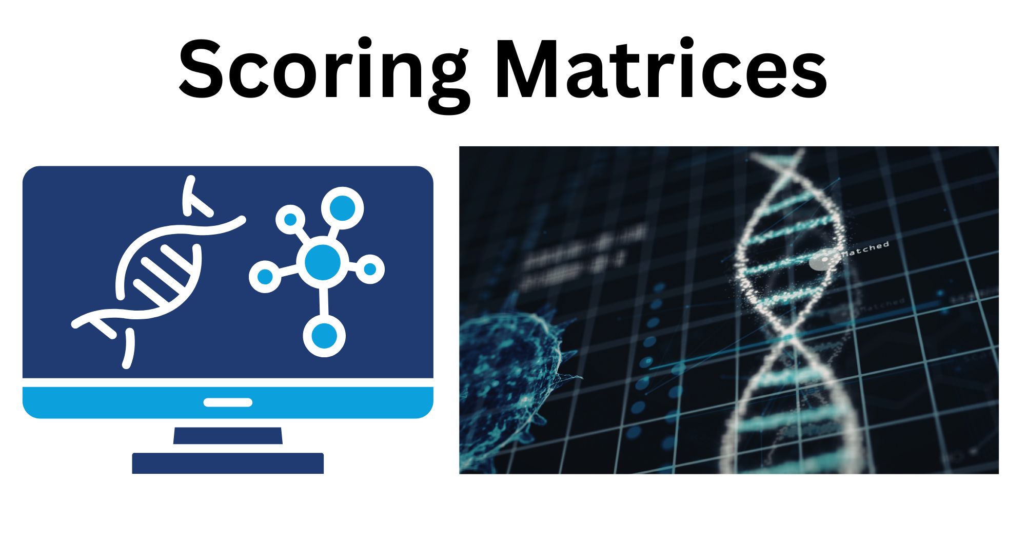 Scoring Matrices in Bioinformatics: PAM, BLOSUM, Log-Odds, Gap Penalties