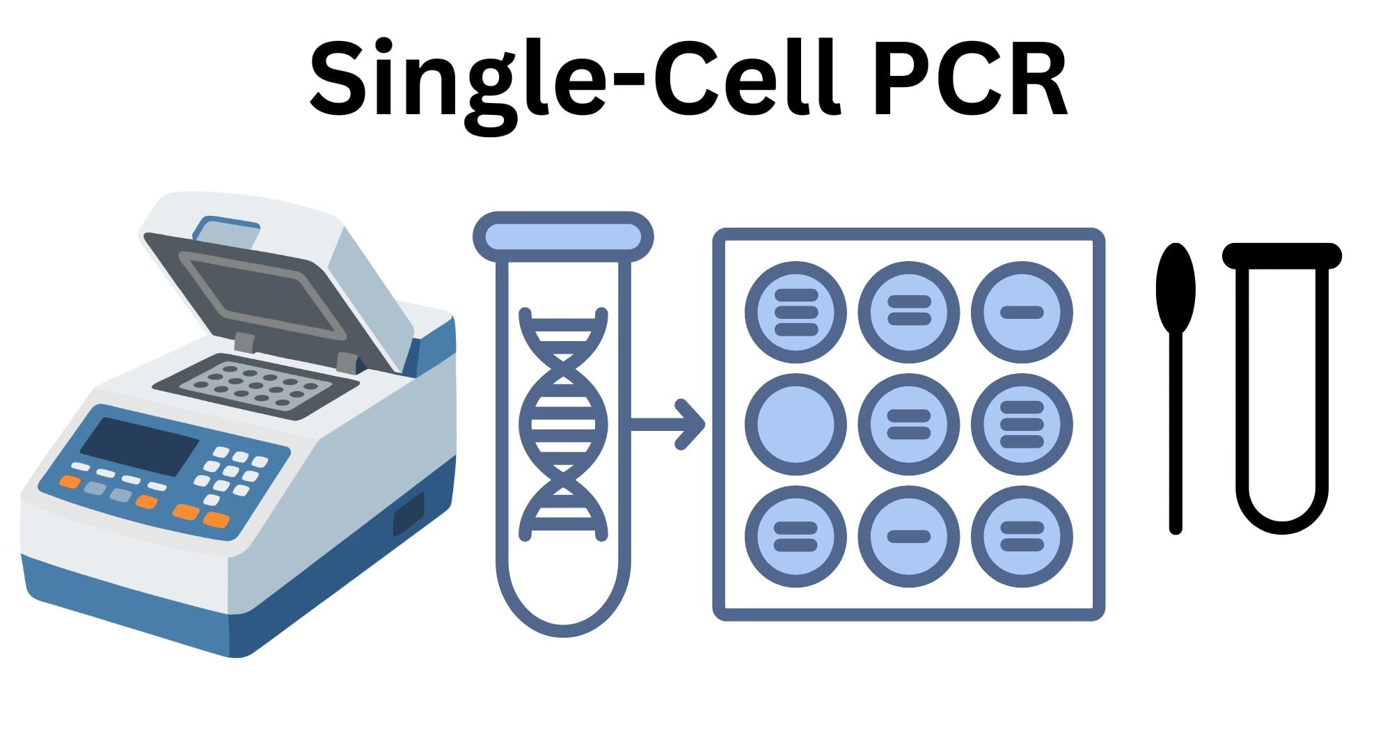 Single-Cell PCR: Principle, Steps, Types, Examples, Applications
