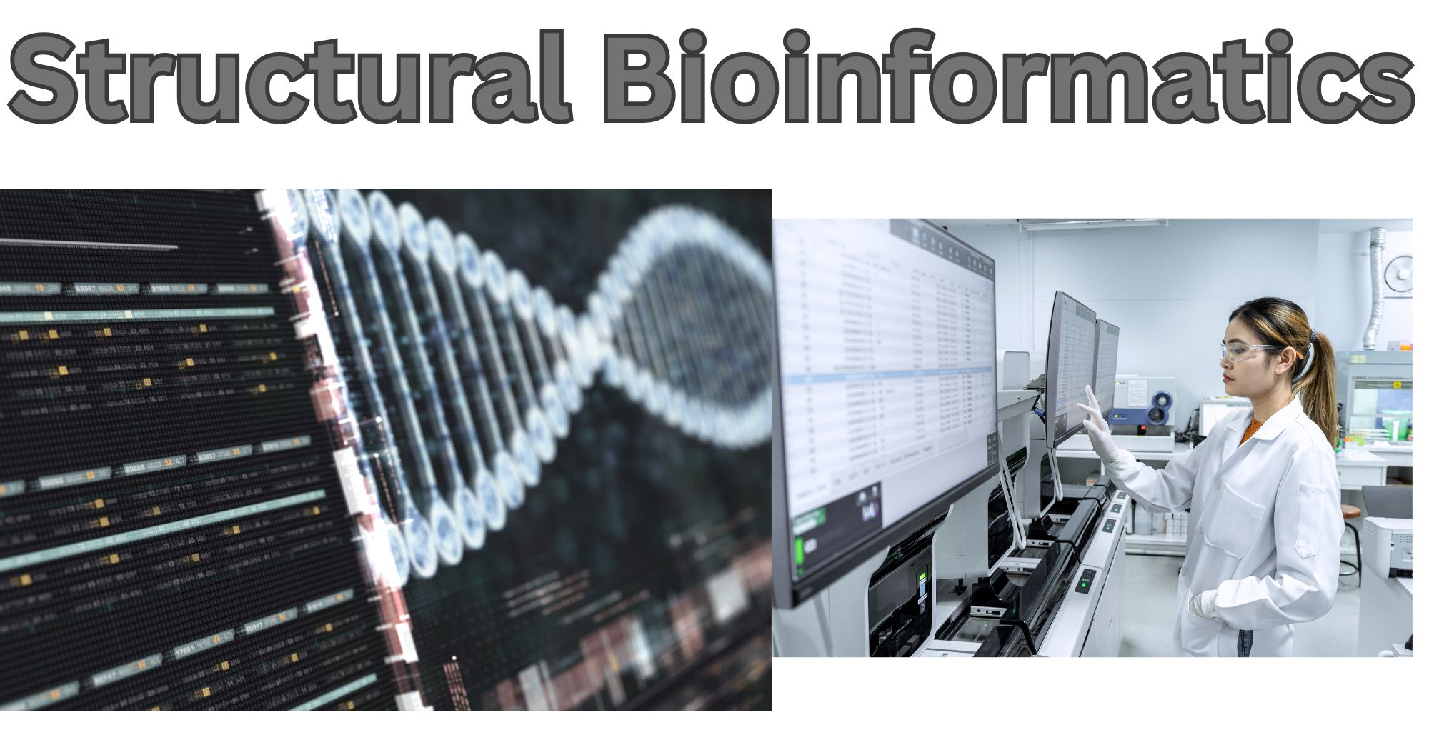 Structural Bioinformatics: A Comprehensive Guide