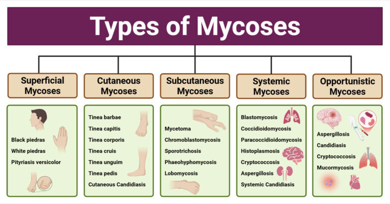 Types of Mycoses with Examples