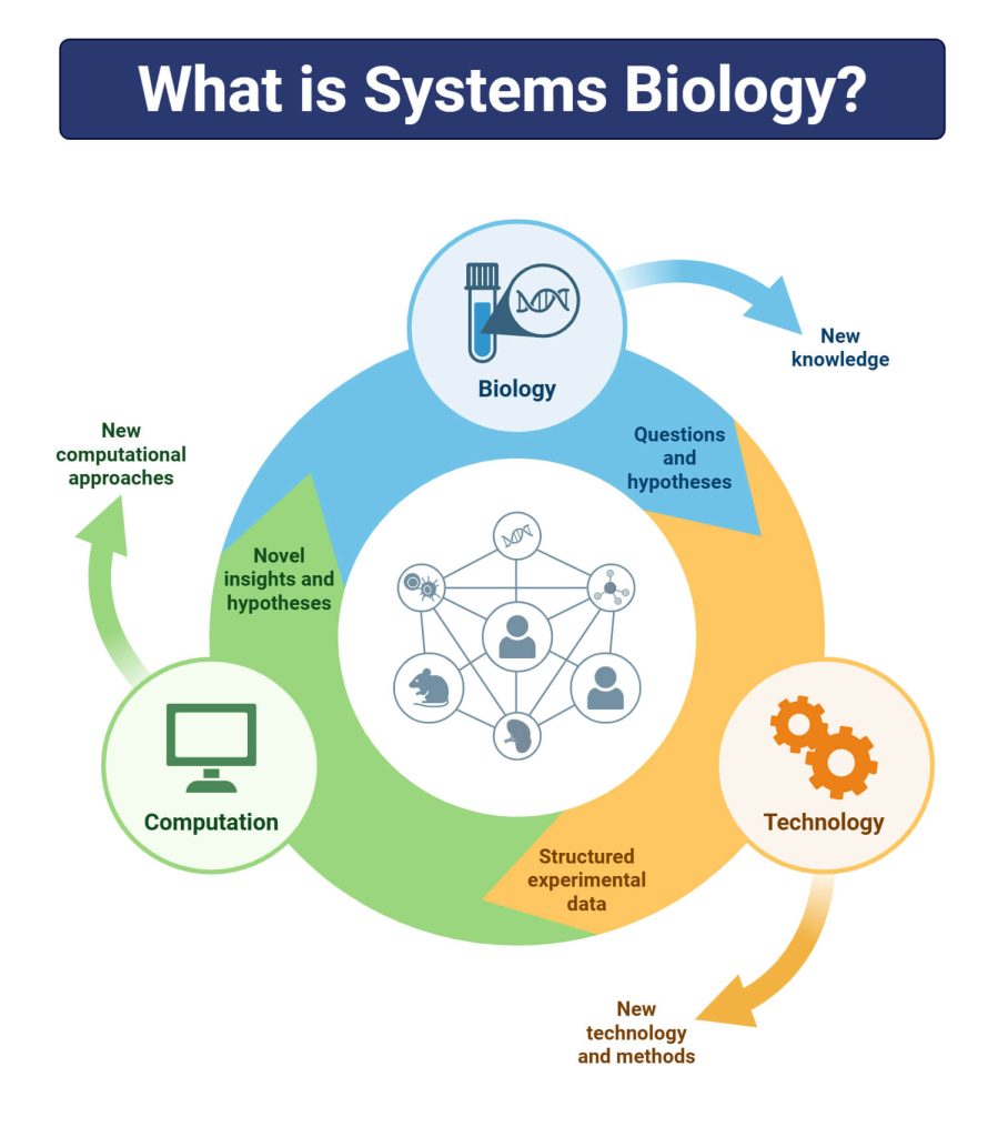 Systems Biology: Principles, Networks, Logic Gates