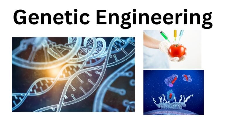 Genetic Engineering: Principles, Tools, Examples, Applications