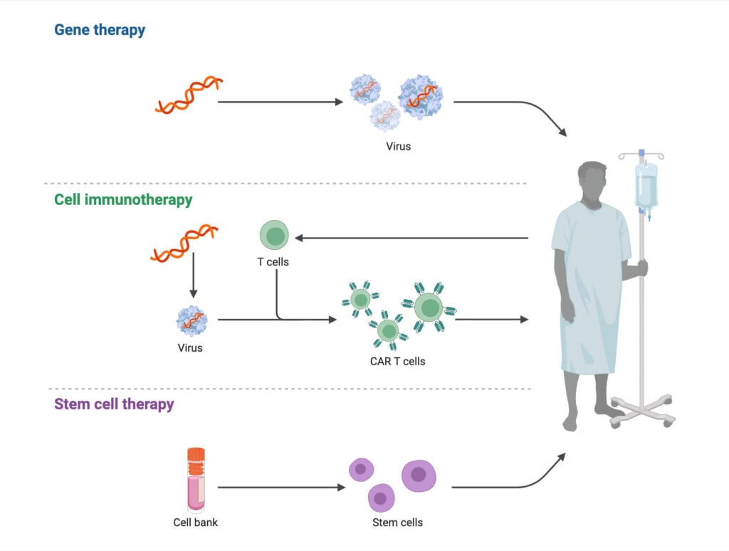 Gene Therapy: Principles, Types, Methods, Vectors, Steps, Applications